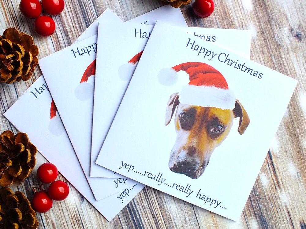Grumpy Dog in Santa Hat - Pack of 4 Christmas Cards